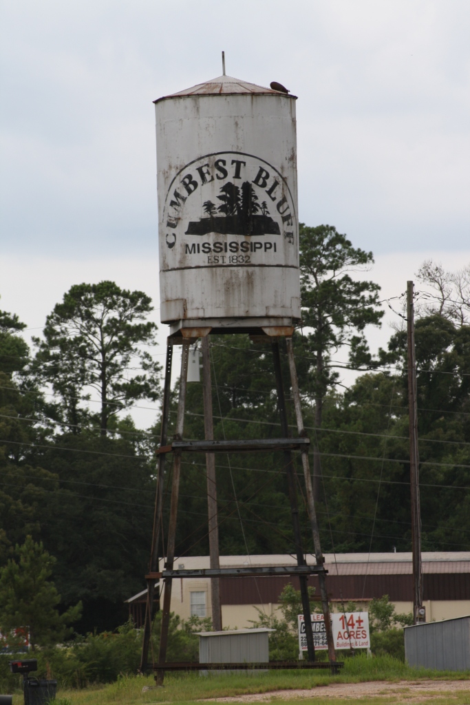 Cumbest Bluff Water Tank – Preservation in Mississippi