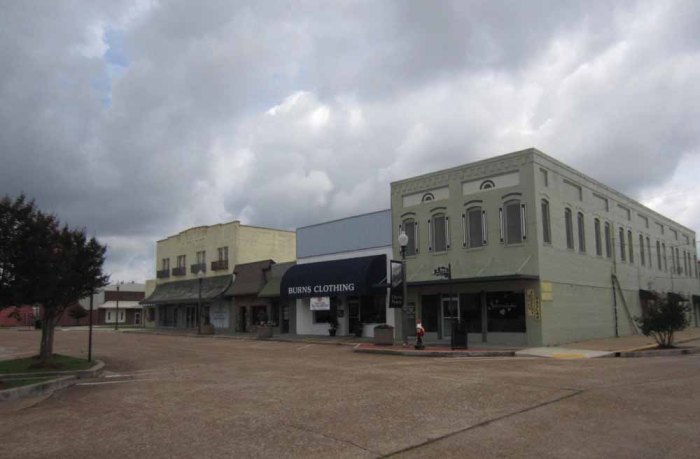 Forest – Preservation in Mississippi