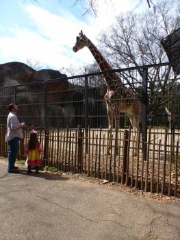 Jackson’s Zoo When It Was New – Preservation in Mississippi